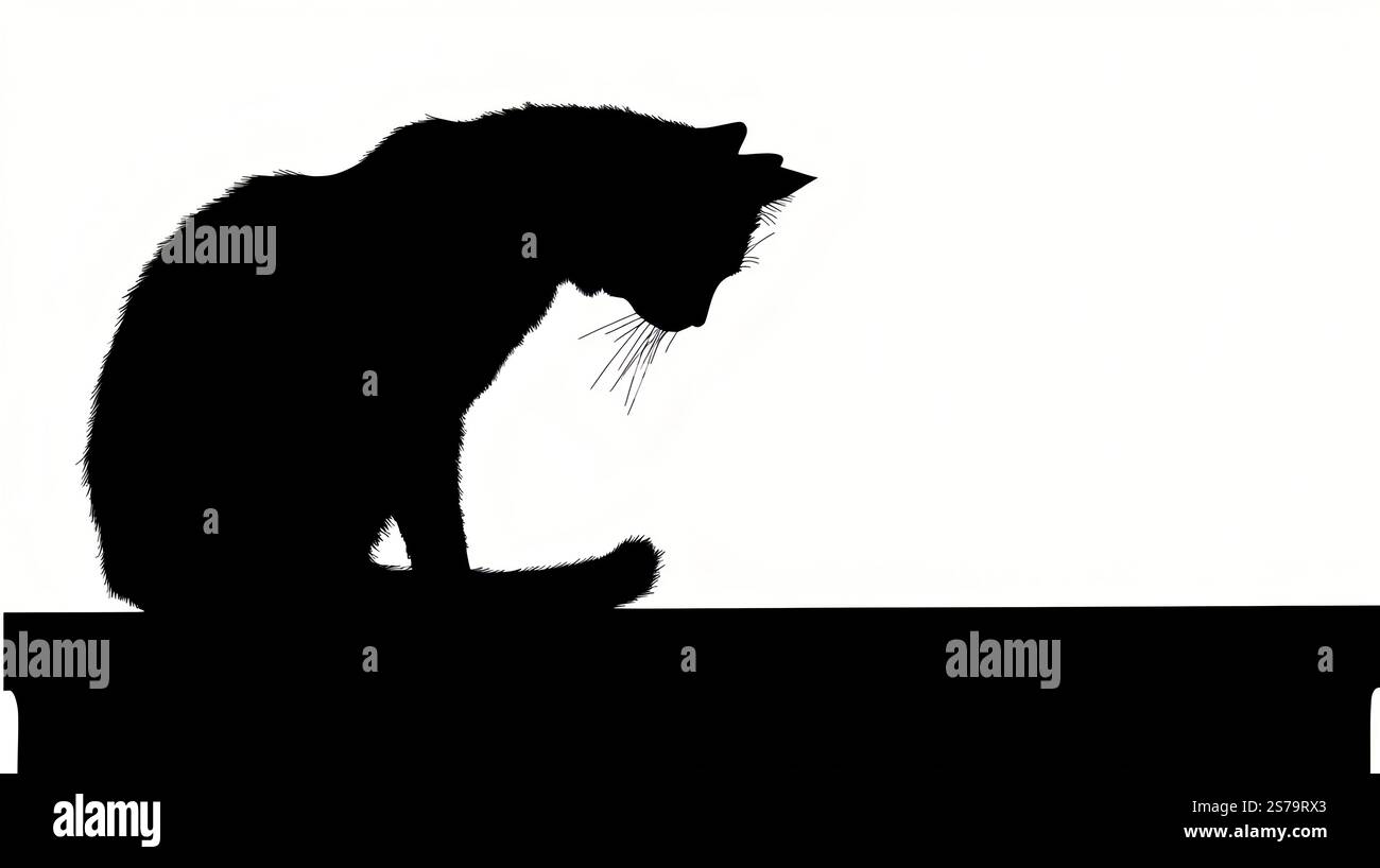 Silhouetted cat sitting serenely on a window sill,tail curled,against a ...