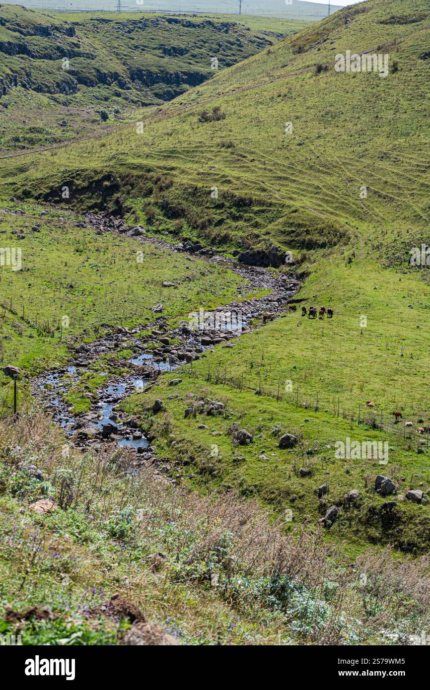 Rural landscape with canyon and river close to Tsalka town in Shida ...