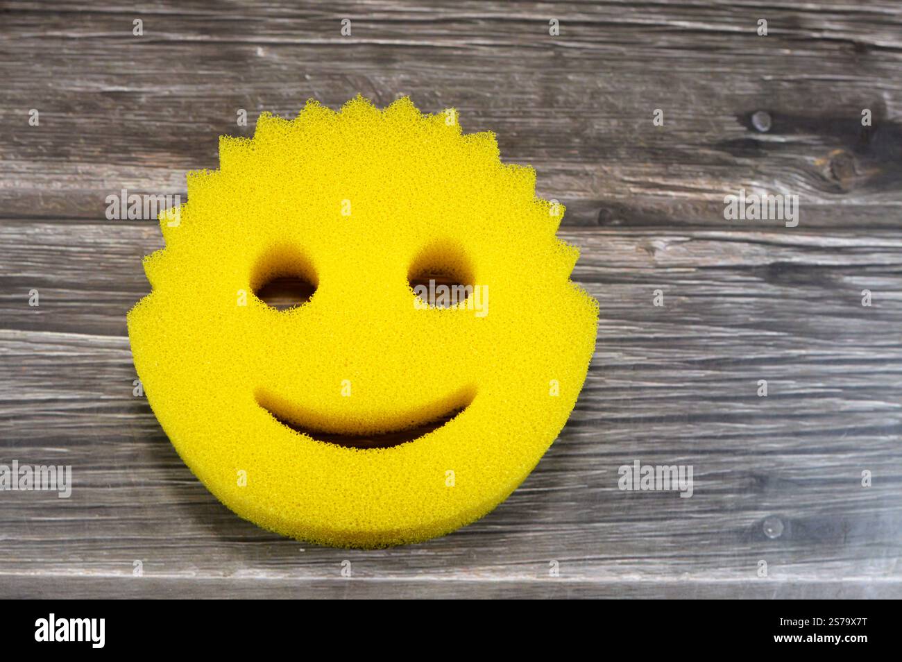 Cairo, Egypt, January 11 2025: smiley face cleaning scratch free sponge ...