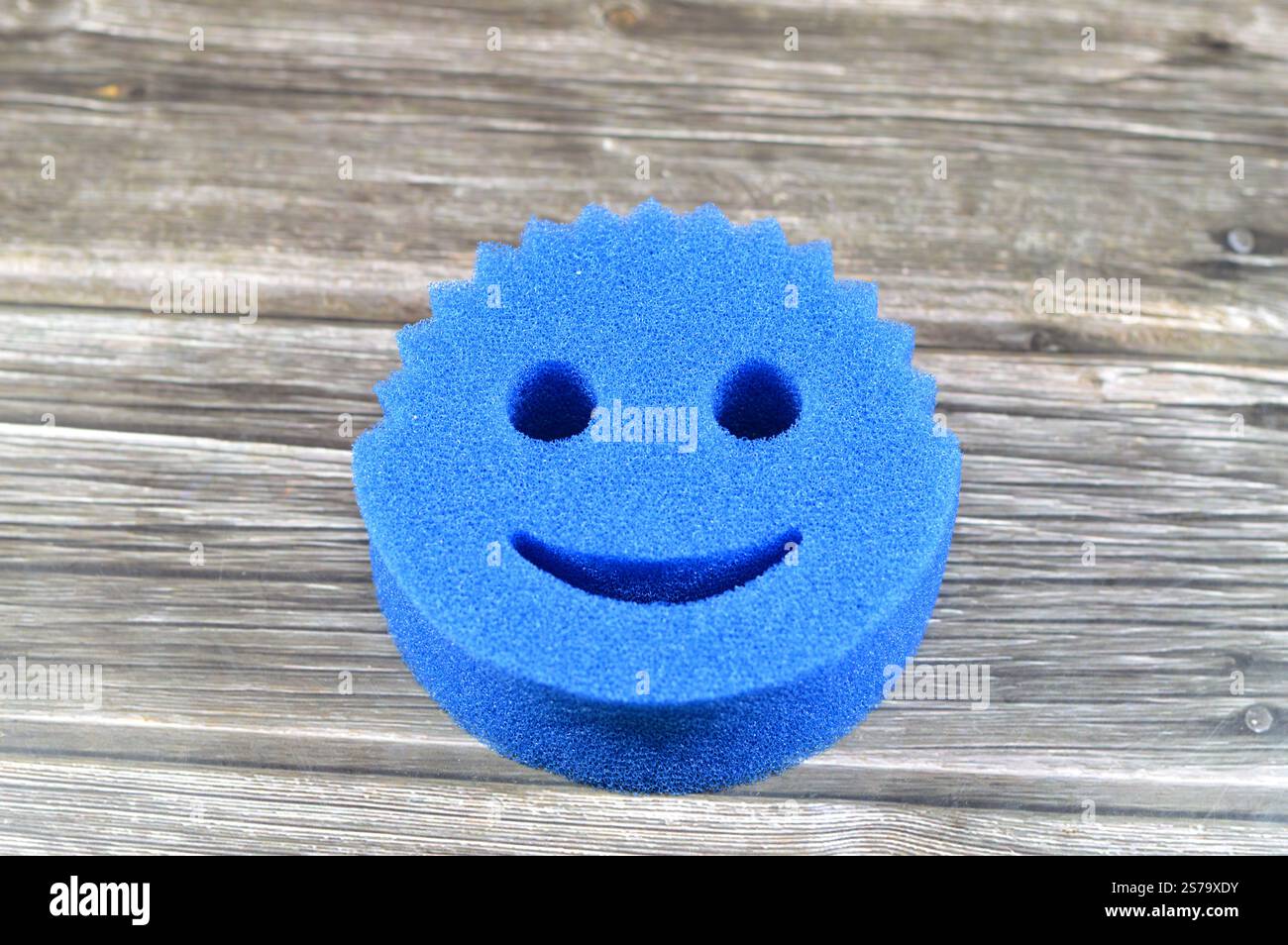 Cairo, Egypt, January 11 2025: smiley face cleaning scratch free sponge ...