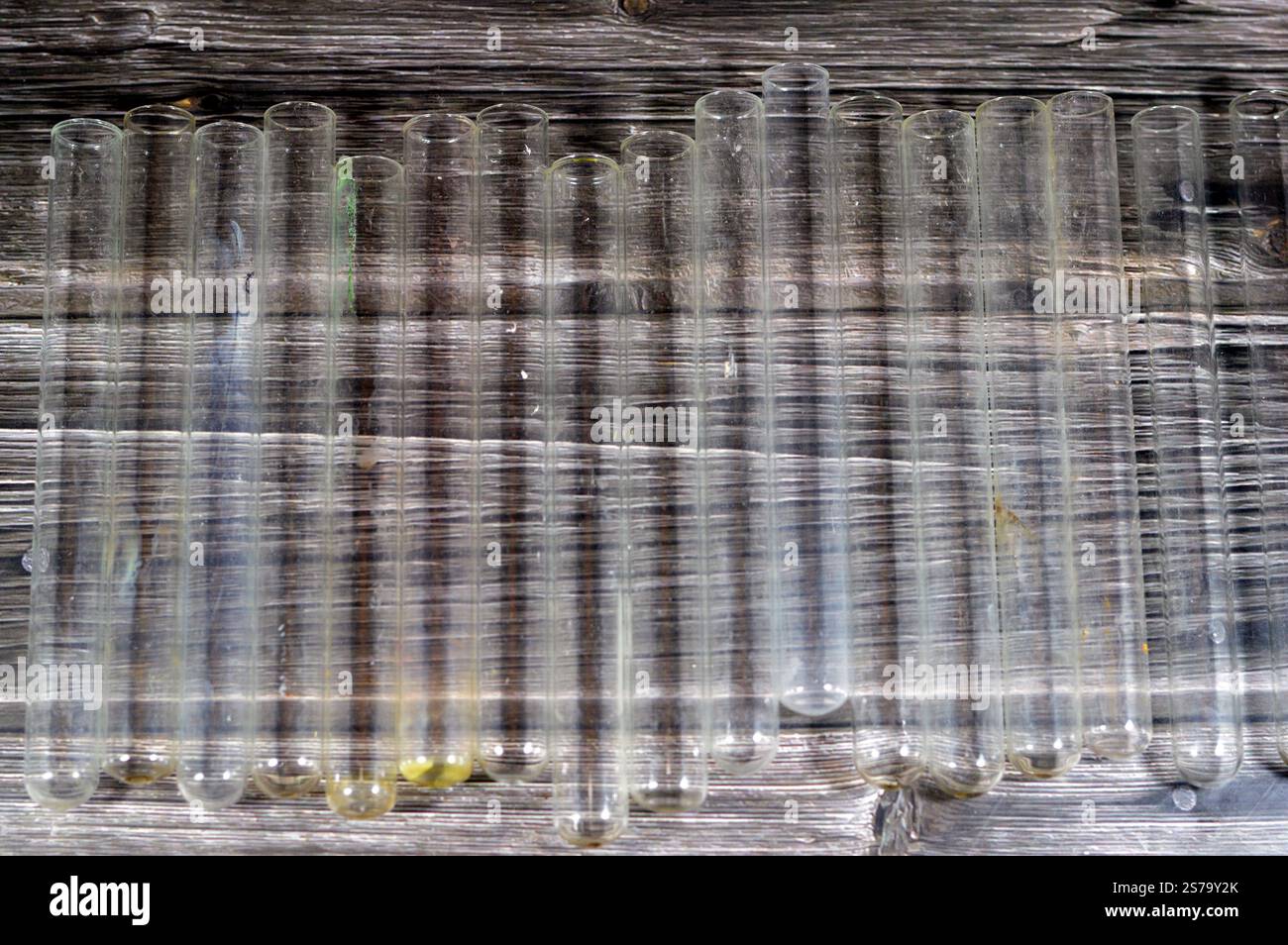 Test tubes, culture or sample tube, a common piece of laboratory ...