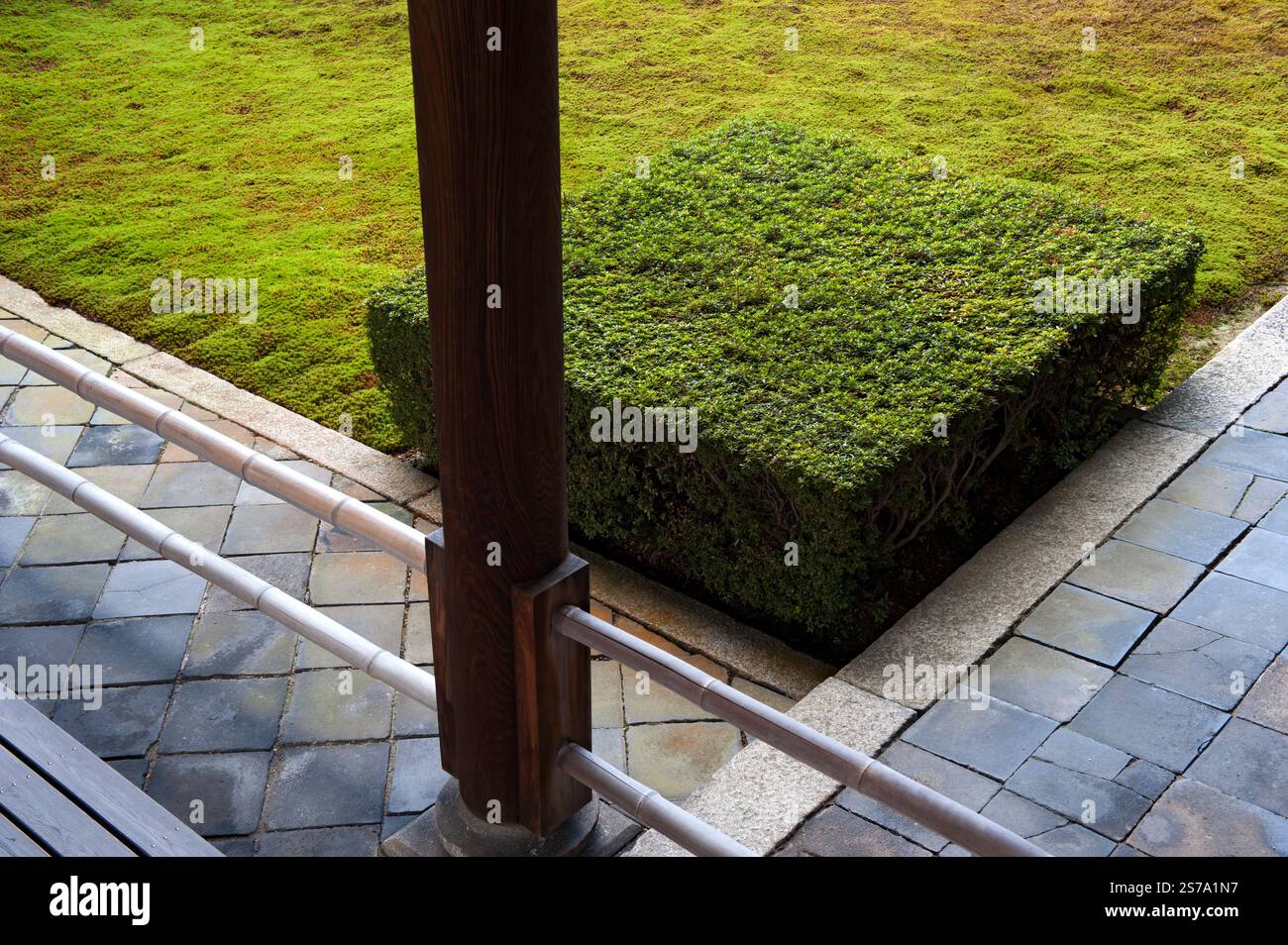Shrub shaped like a square cube sits in the corner of Tofukuji Temple's ...