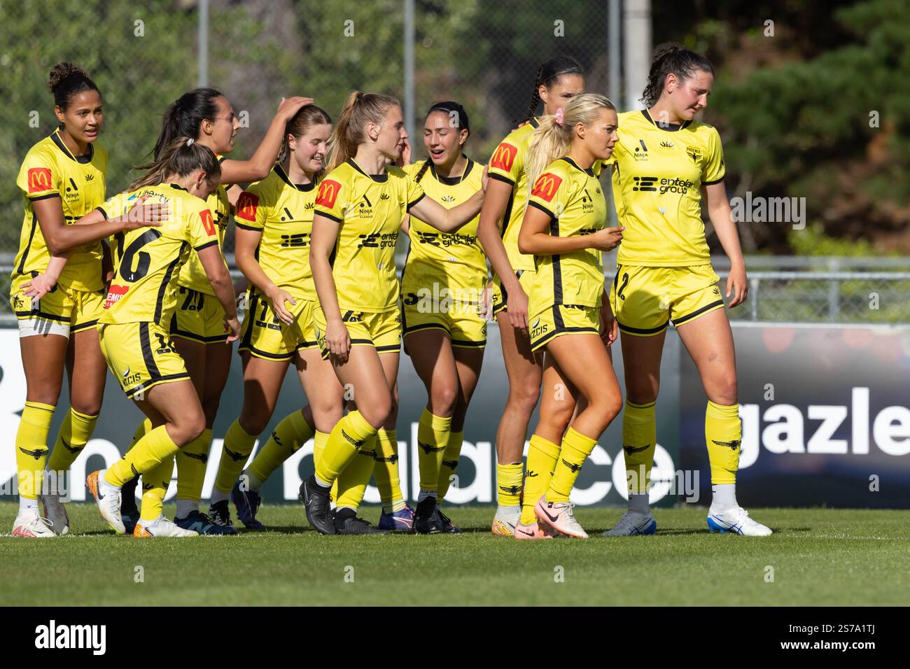 Wellington, New Zealand. 19th Jan, 2025. Wellington celebrate scoring ...