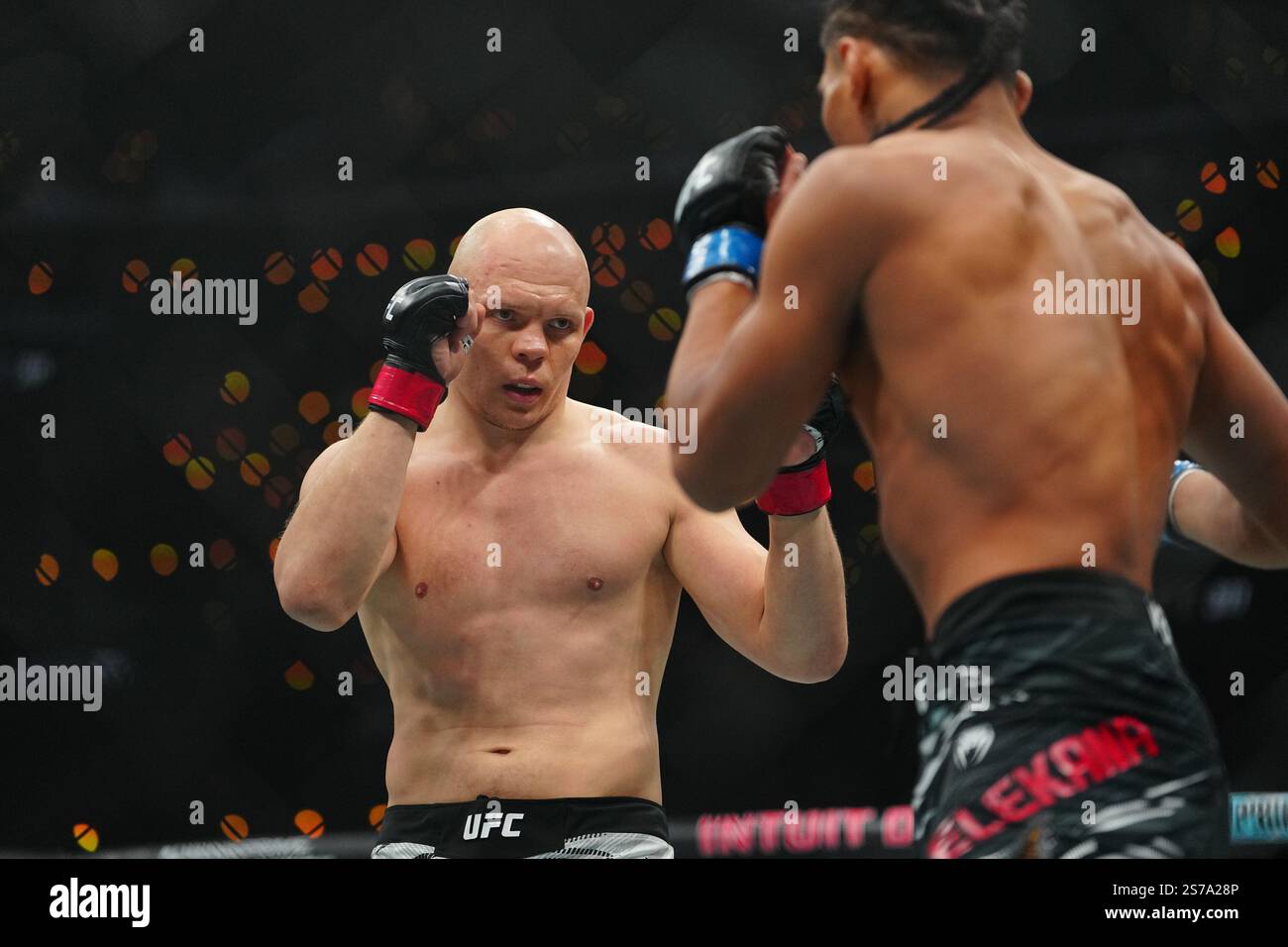 LOS ANGELES, CA - JANUARY 18: Bogdan Guskov and Billy Elekana meet in ...