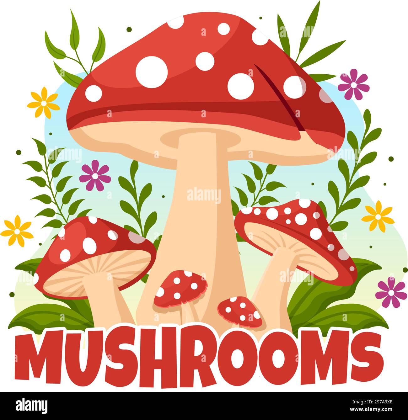 Mushrooms Illustration with Different Mushroom, Grass and Insects for ...