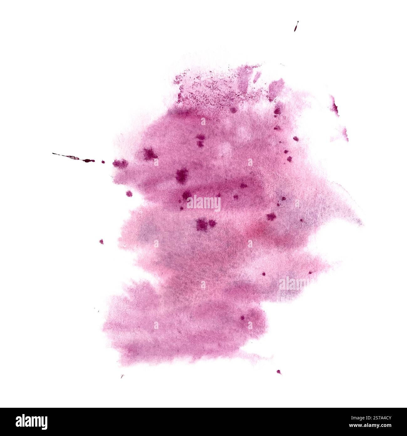 Abstract pink watercolor blurry spot and splashes. Bright pink burgundy ...