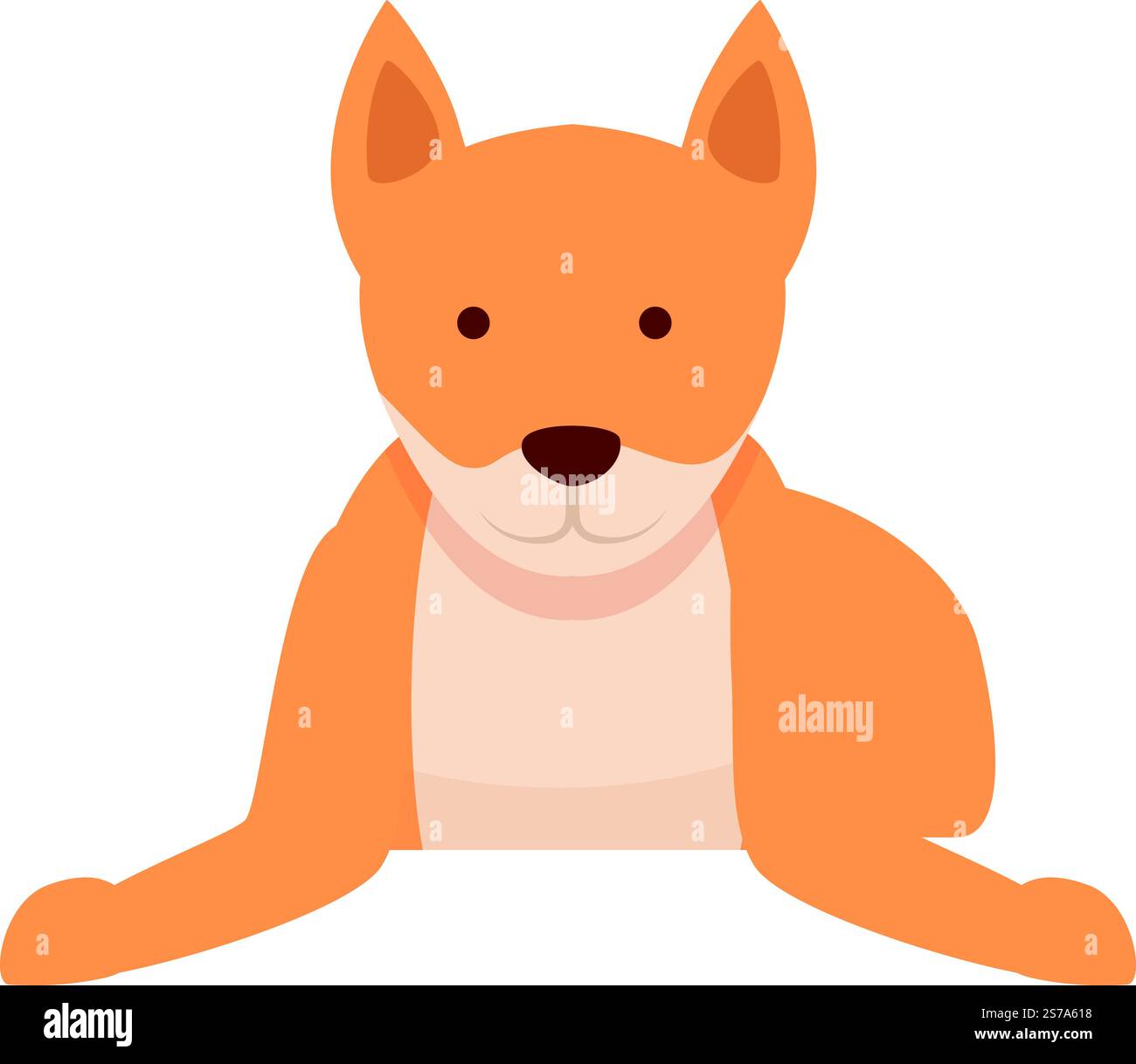 Stay dingo dog icon cartoon vector. Wild nature. Zoo mammal. Stay dingo ...
