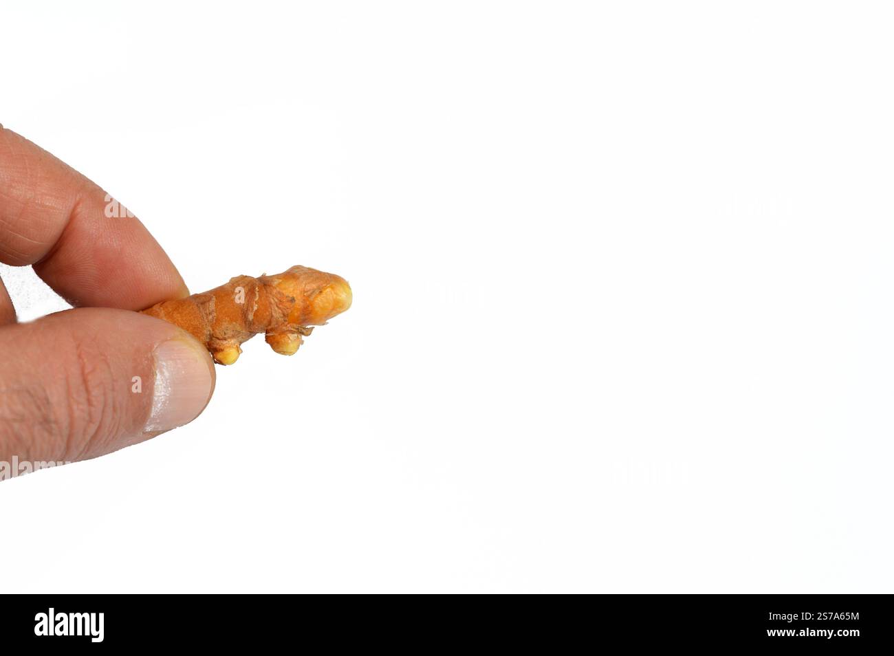 Turmeric Curcuma longa, a flowering plant in the ginger family ...