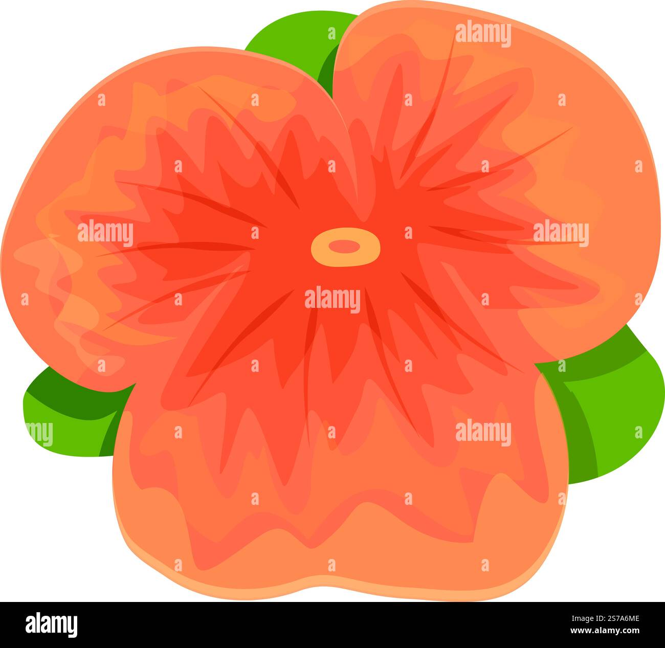 Orange wild flower icon cartoon vector. Viola spring. Border floret ...