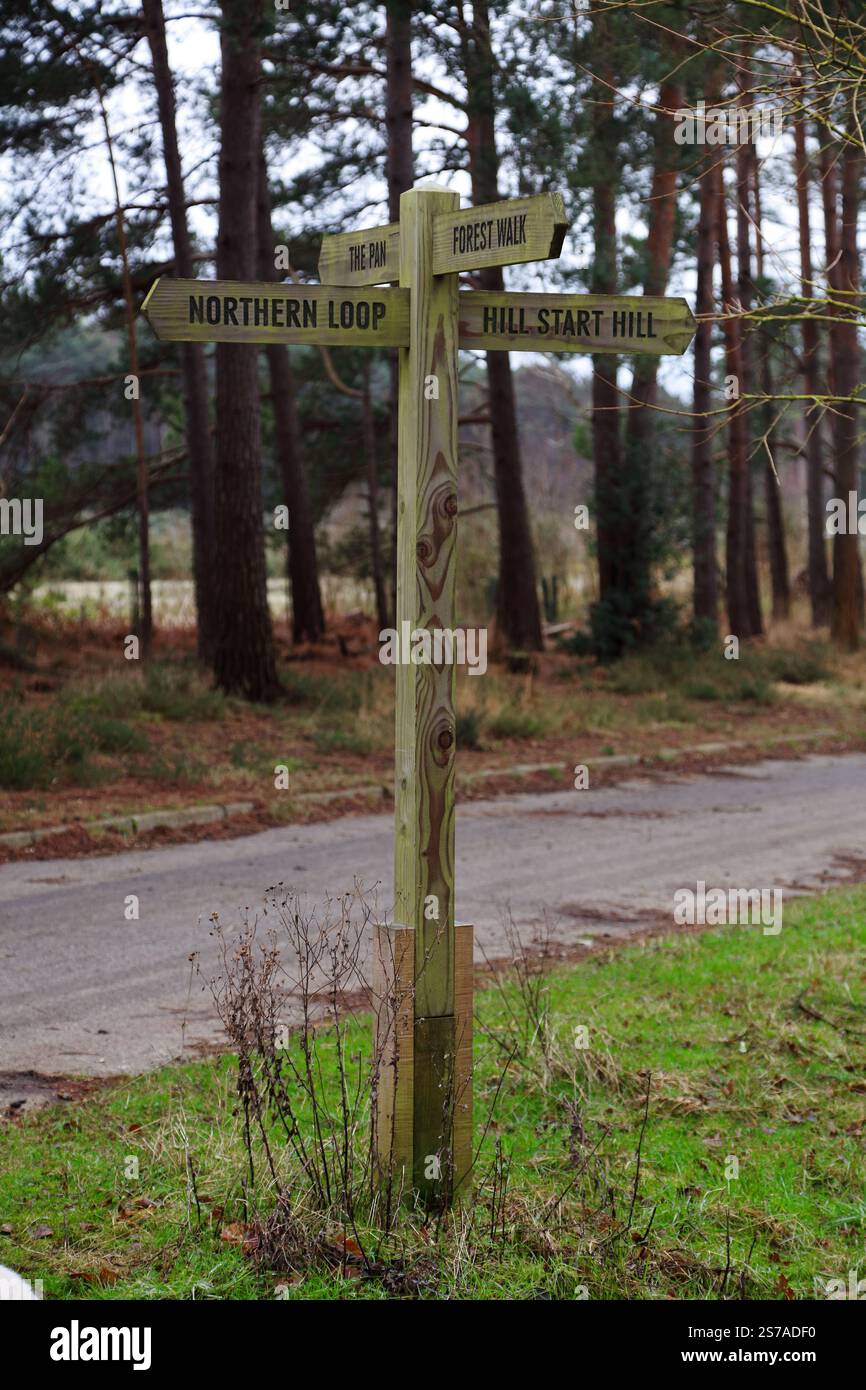 A new wooden signpost showing some of the old features of this area ...
