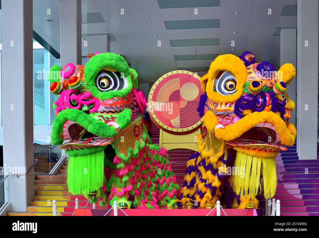 Traditonal Chinese dancing lions display to celebrate the new year of ...