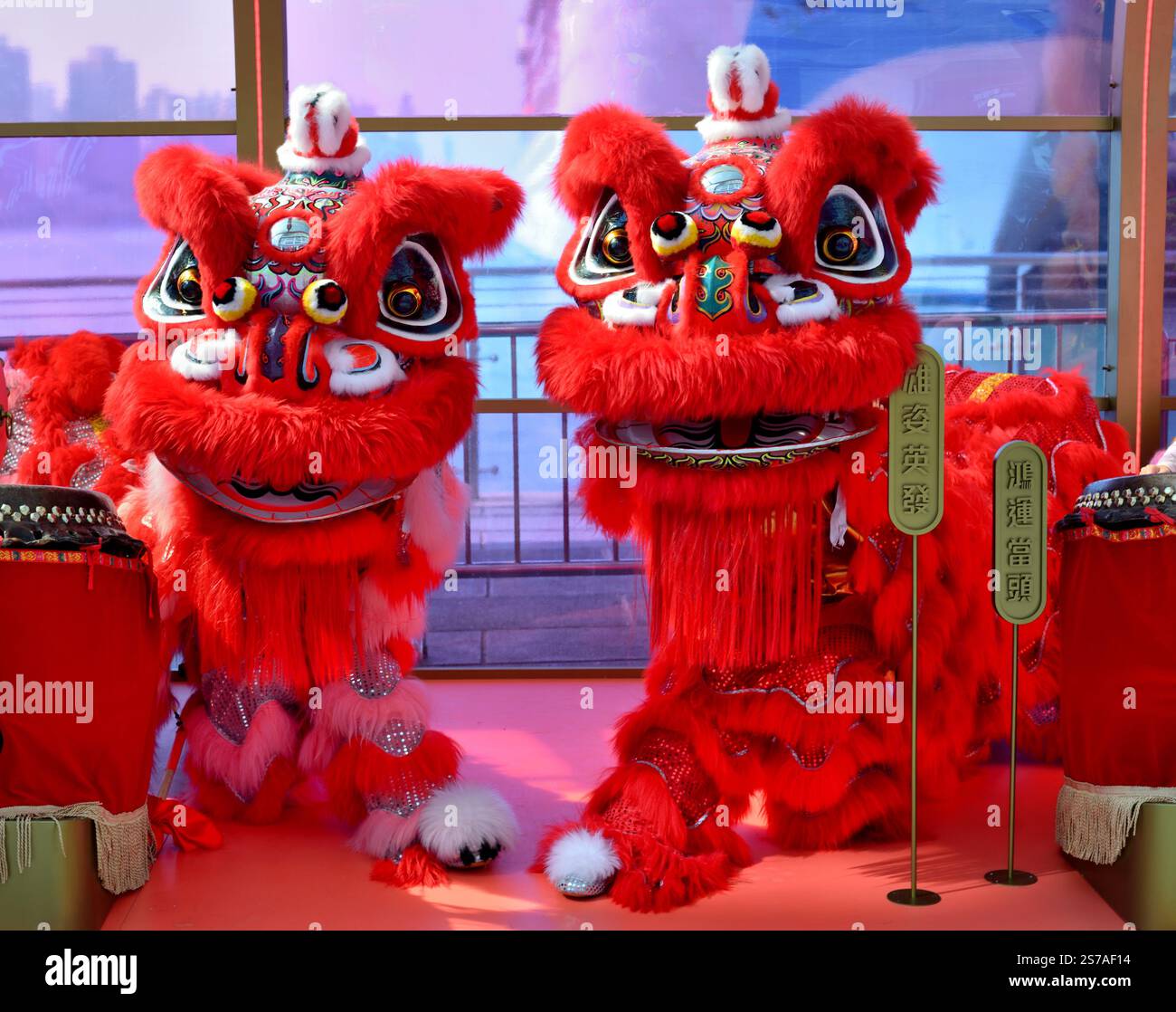 2025 chinese new year snake hi-res stock photography and images - Alamy