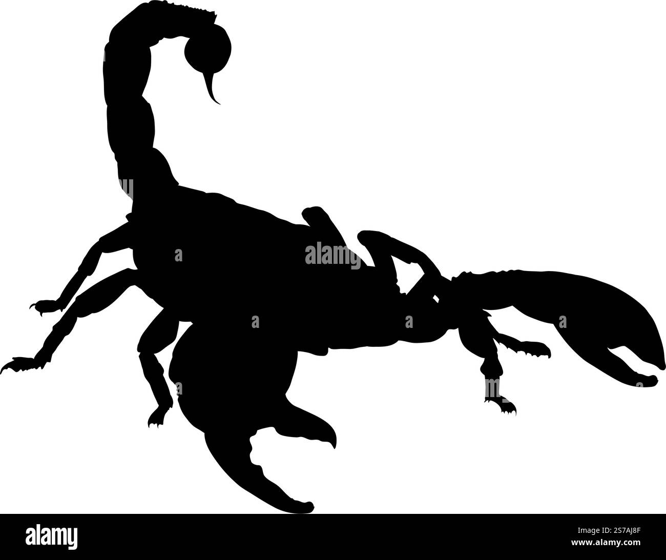 scorpion silhouette - vector illustration Stock Vector Image & Art - Alamy