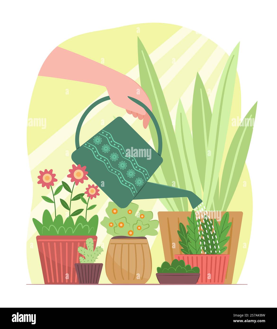Human Hand Holding Watering Can to Watering Flower Plant for Gardening ...