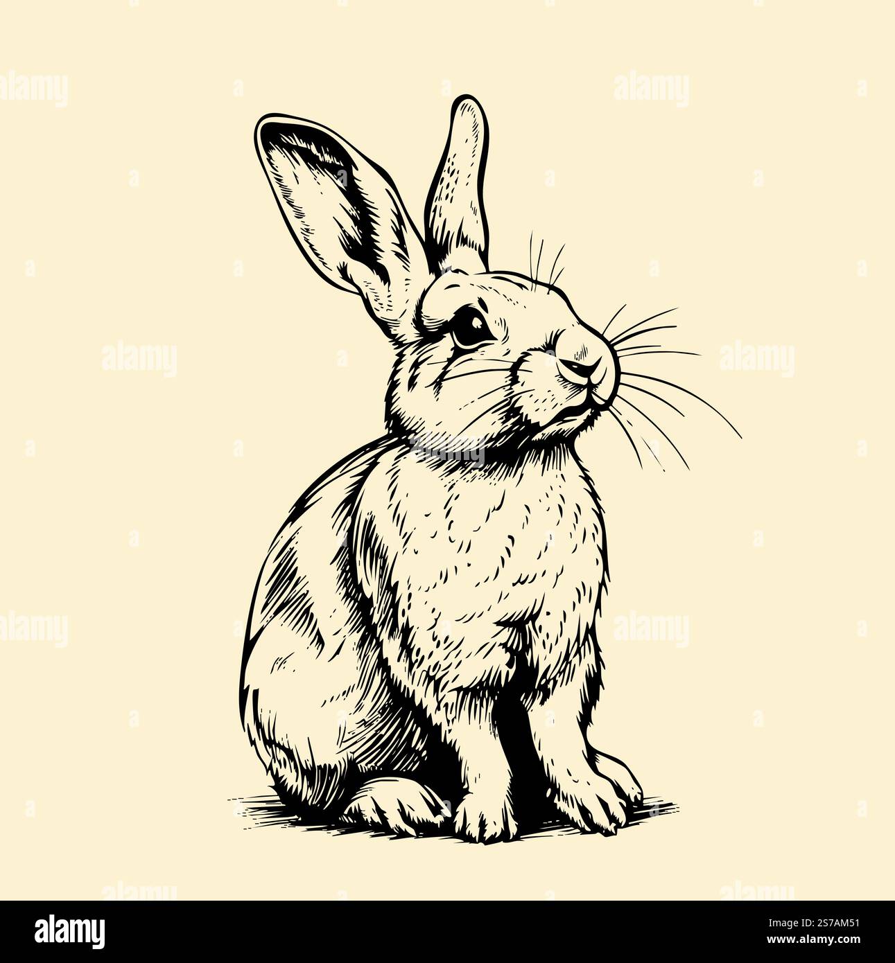 Rabbit sitting sketch engraving hand drawn Vector illustration Stock ...
