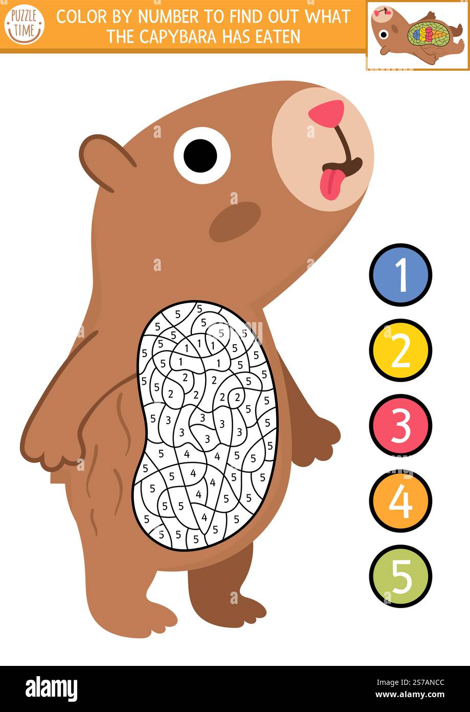 Vector color by number activity with capybara and food in his stomach ...