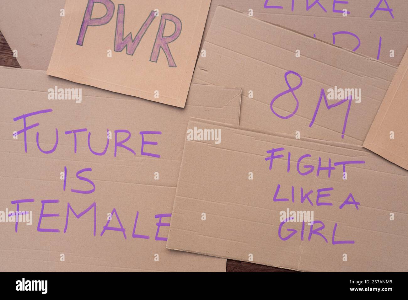 Cardboard protest signs with feminist slogans promoting equality and ...