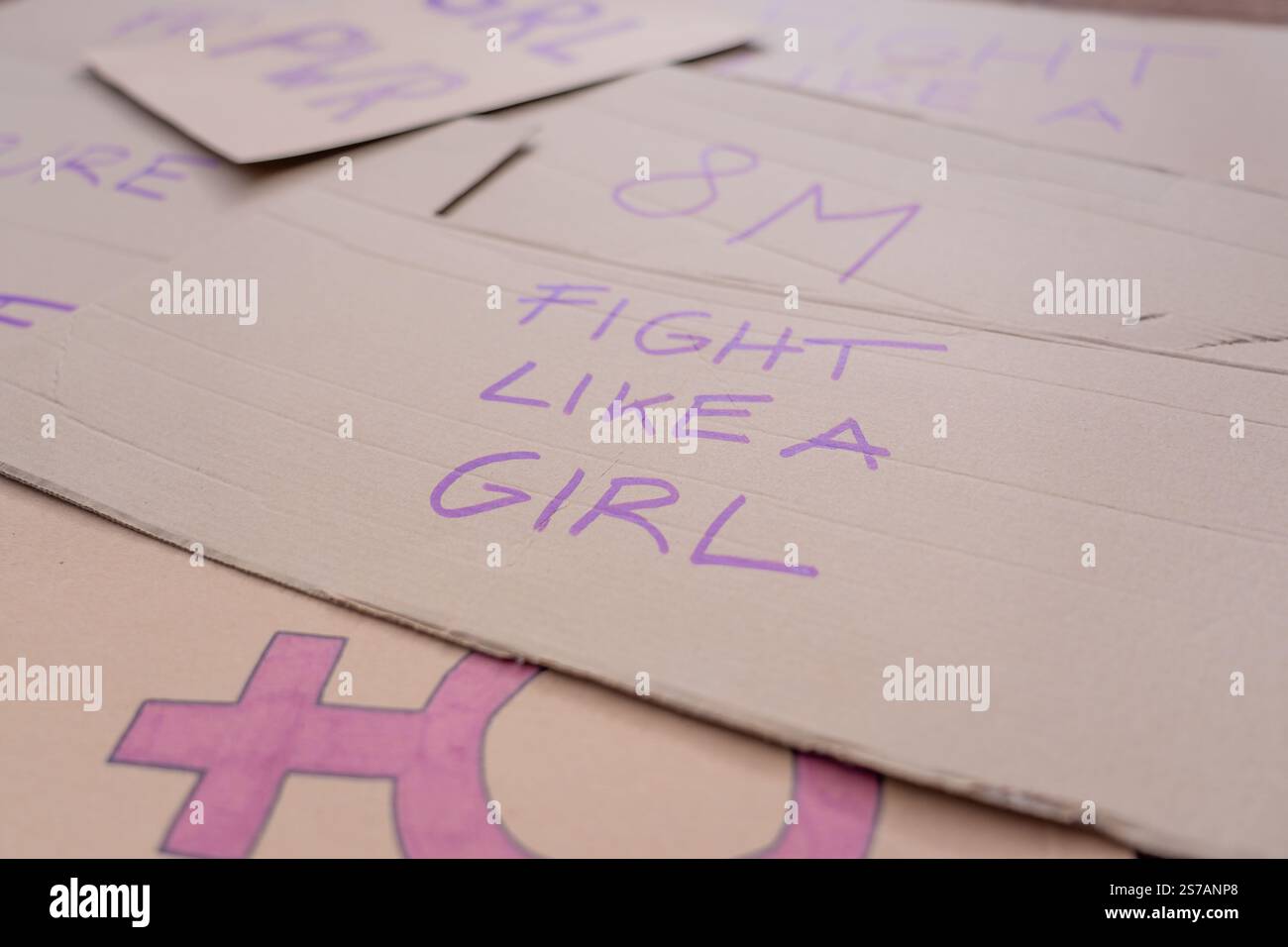 Cardboard signs with feminist slogans promoting women's rights and ...