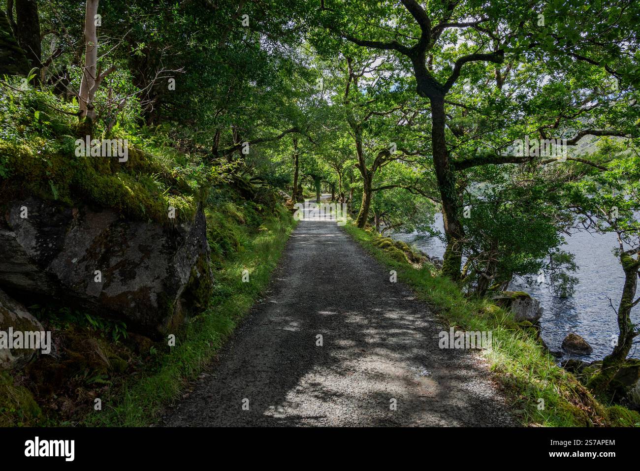 A narrow pathway shaded by trees runs alongside the tranquil Lough ...