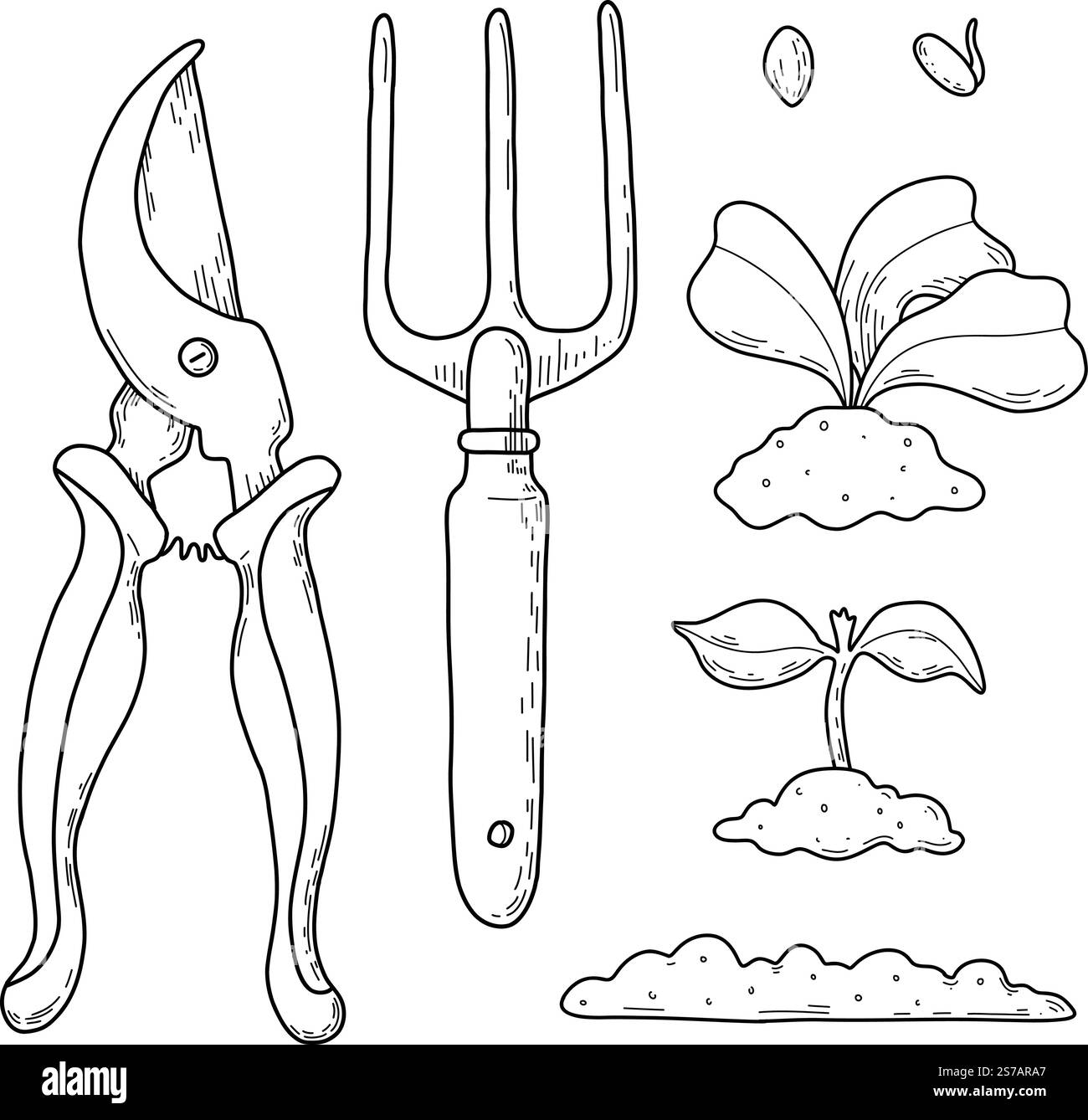 Vector illustration of different stages of growing plants. Suitable for ...