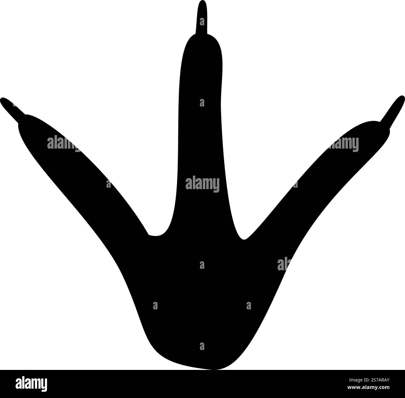 animal rooster foot print vector graphic line illustration on ...