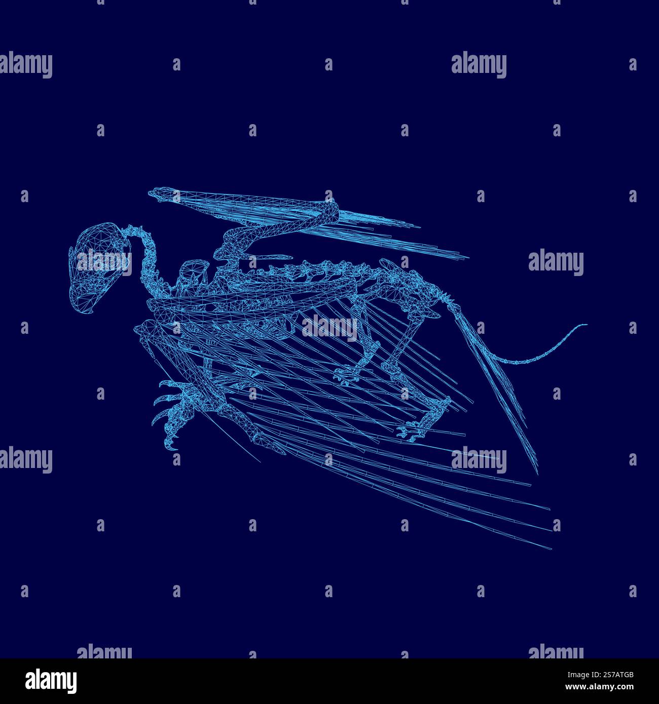 Blue image of a skeleton with a dragon on it. The skeleton is in a blue ...