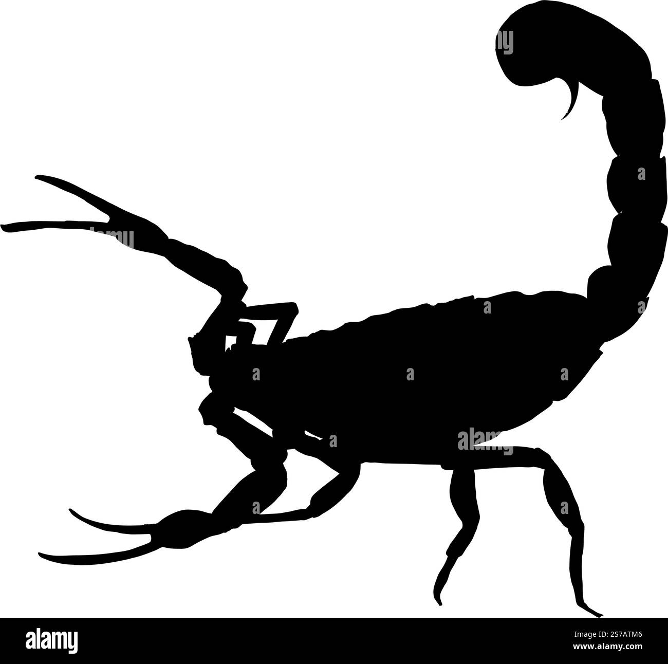 Scorpio legs Stock Vector Images - Alamy
