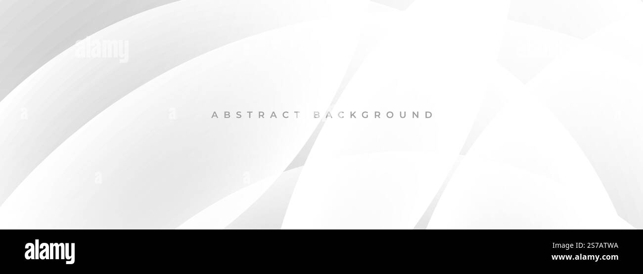 White modern abstract background with curves and circular shapes ...