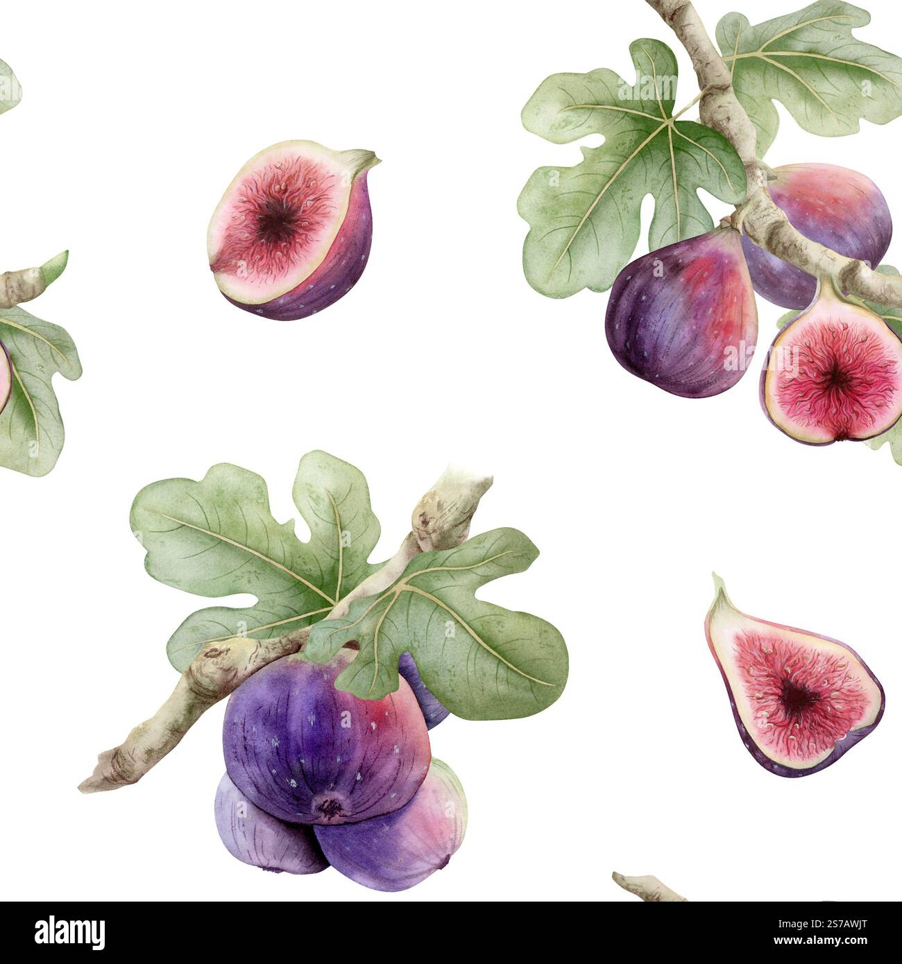 Watercolor figs tree branches with fruits seamless pattern on white ...