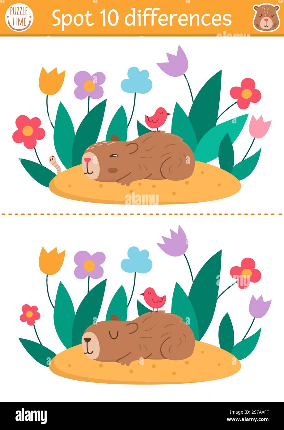 Find differences game for children. Capybara educational activity with ...