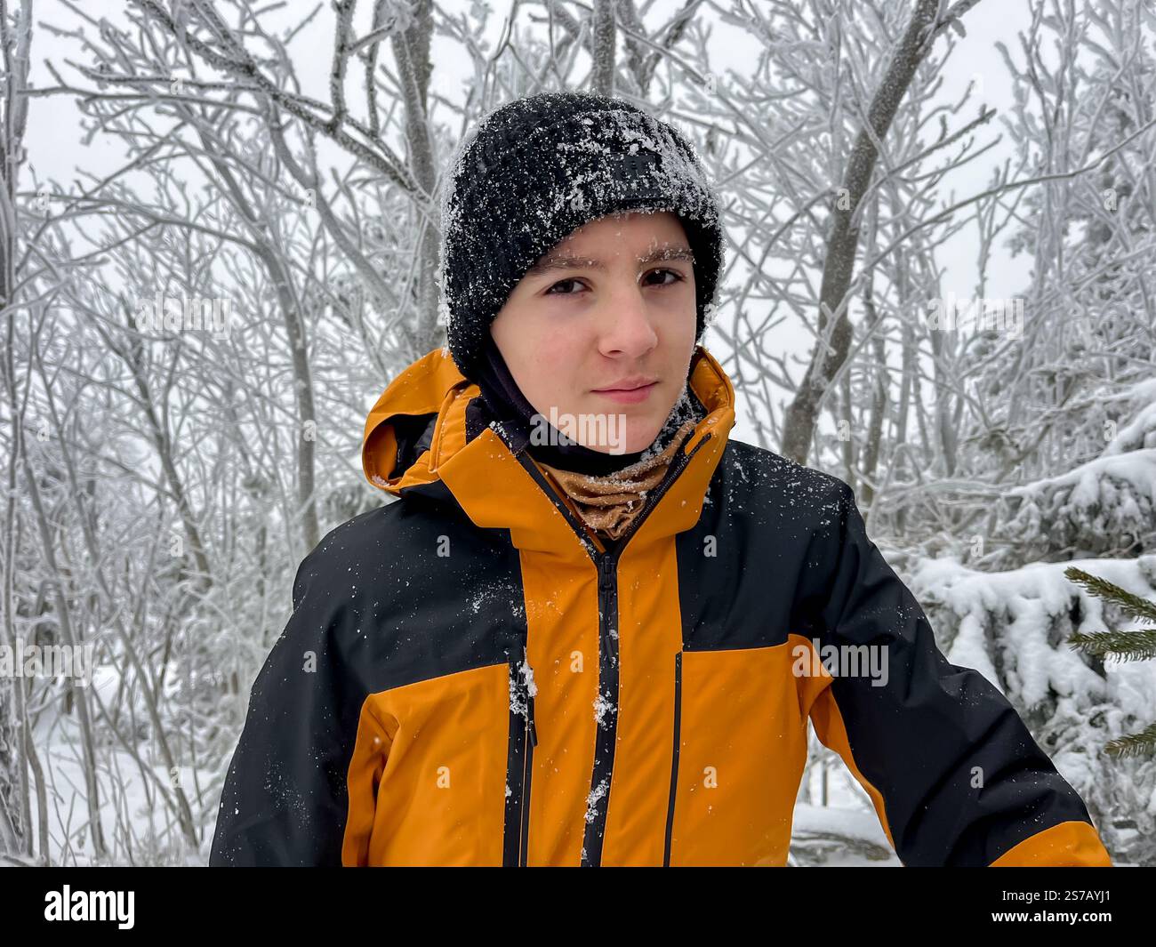 Sweet happy children, brothers, playing in deep snow in forest, frosted ...
