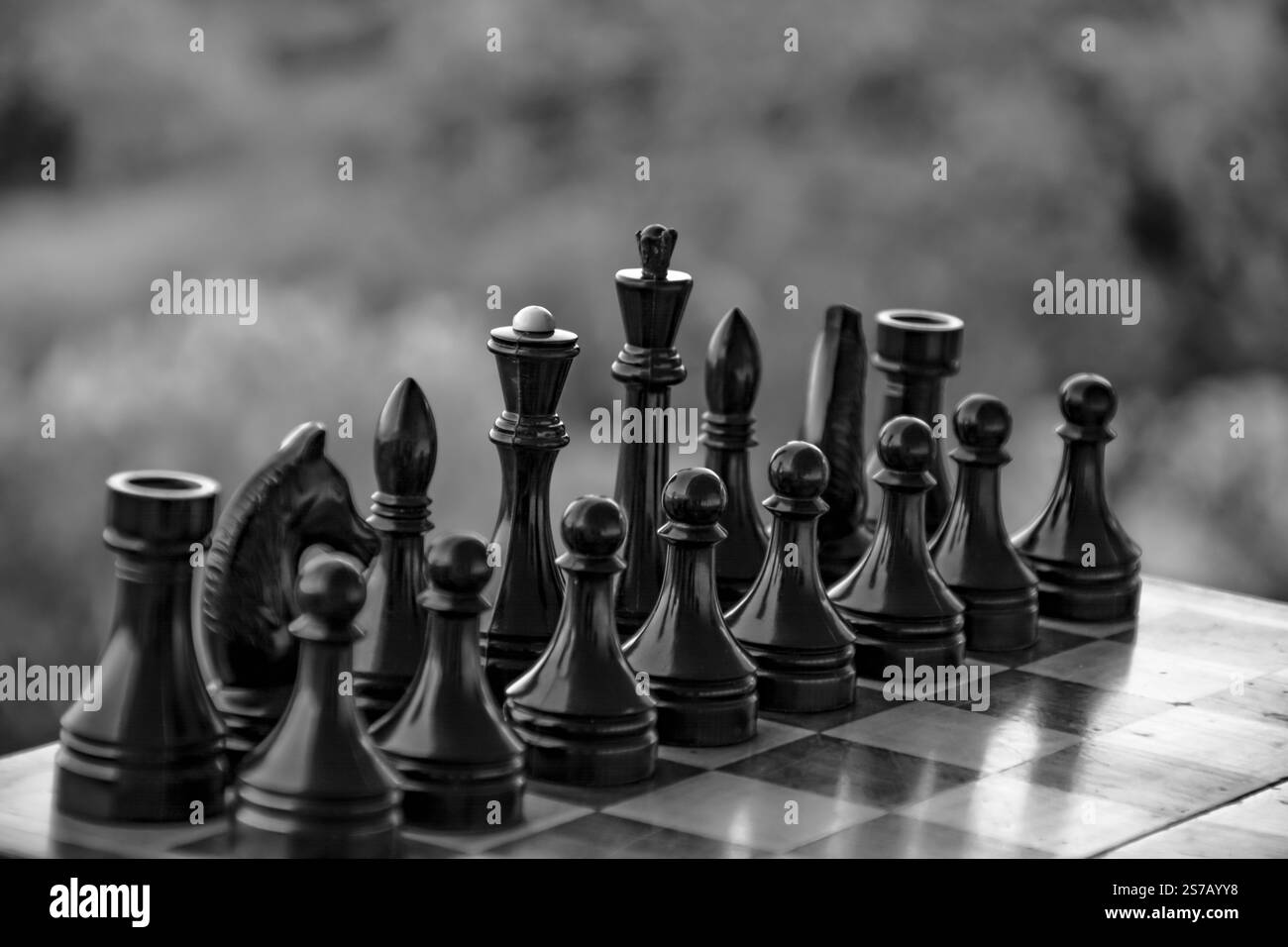 Chessboard. Chess game. Chess pieces - King, Queen, Queen, Rook, Bishop ...