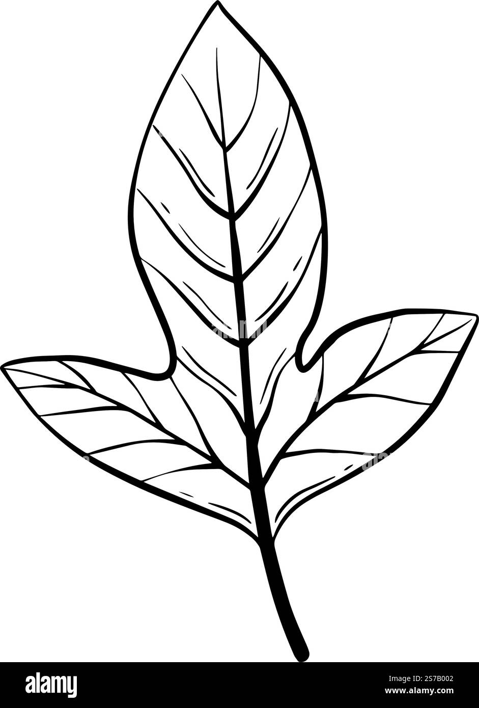 Minimalist leaf outline detailed Stock Vector Images - Alamy