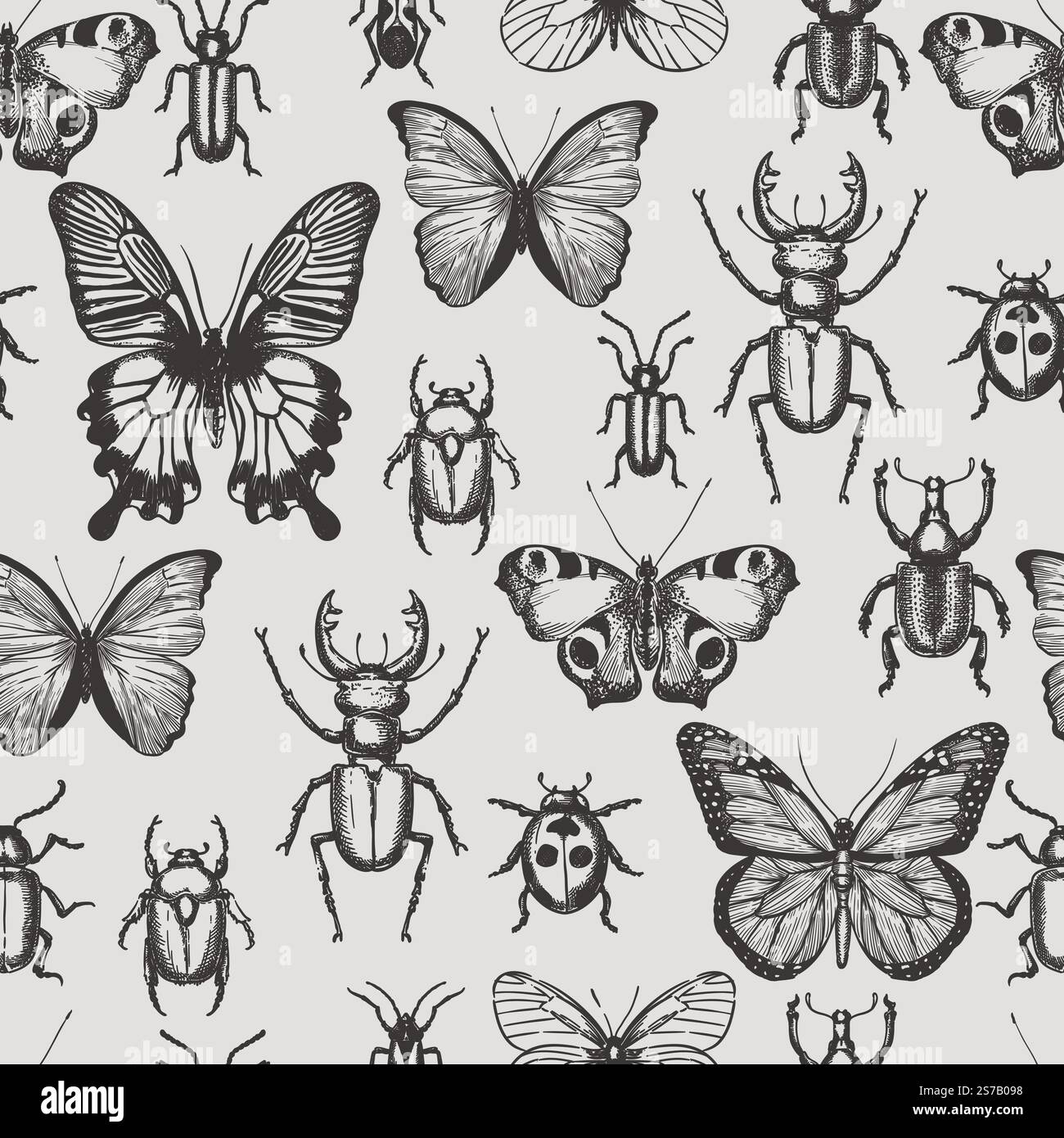 Butterfly, beetles and bugs seamless pattern. Vector hand drawn sketch ...