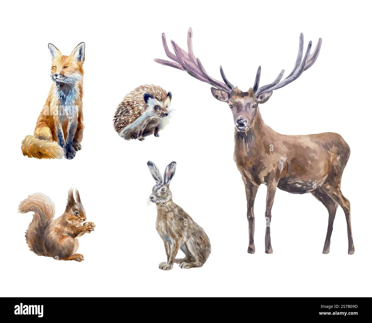 Forest animals set watercolor. Deer, fox, hare, squirrel, hedgehog ...
