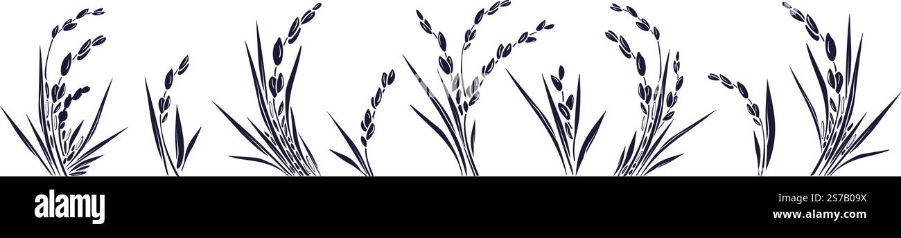 Rice plant and grains, leaves. Detailed graphic collection. Traditional ...