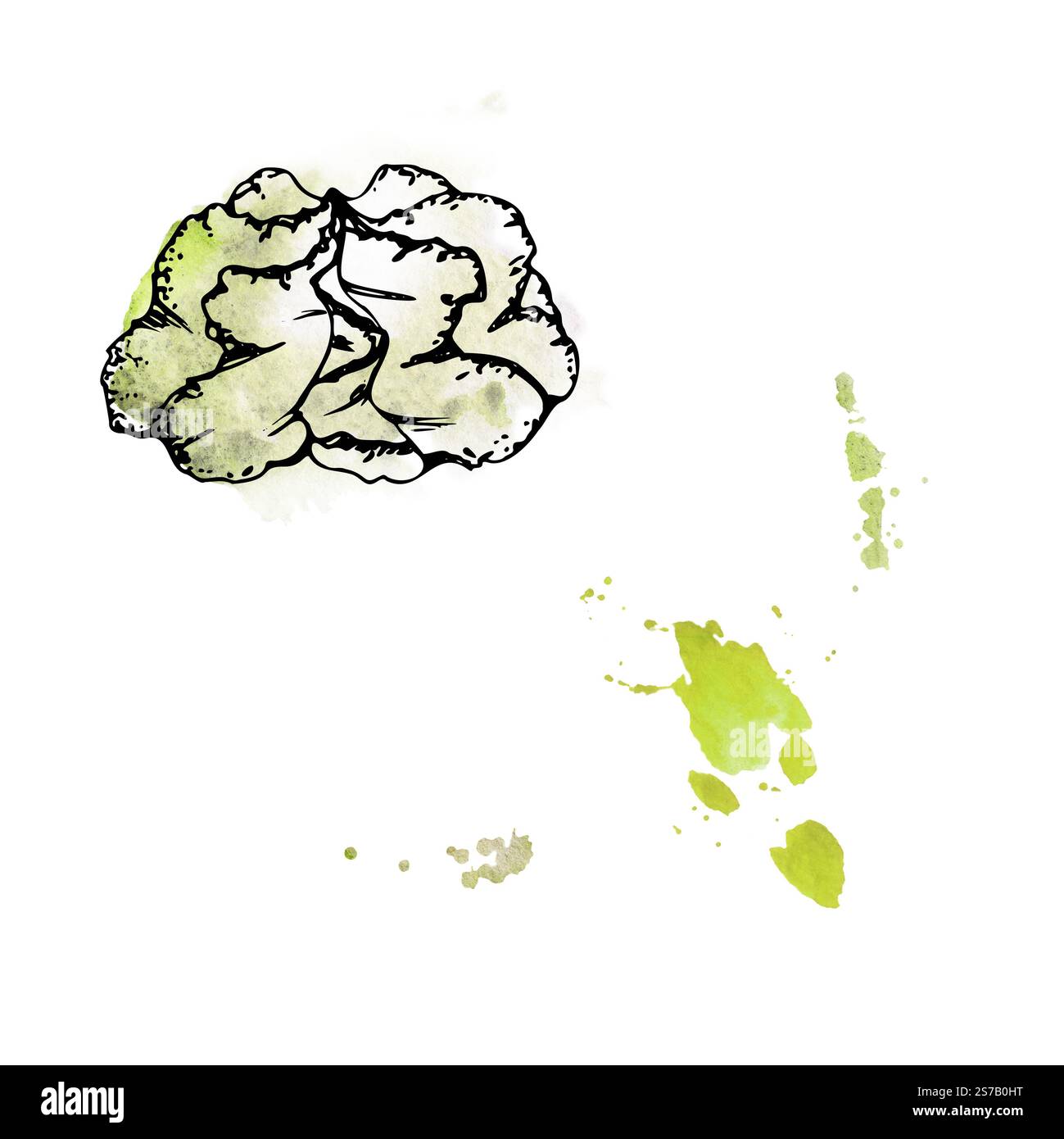 Japanese food toppings for sushi sashimi, wasabi paste, vegetarian ...