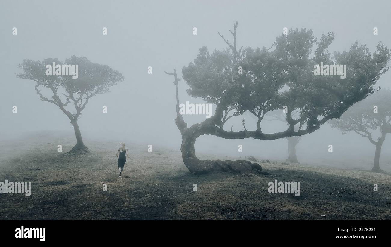 Captivating forest hi-res stock photography and images - Alamy