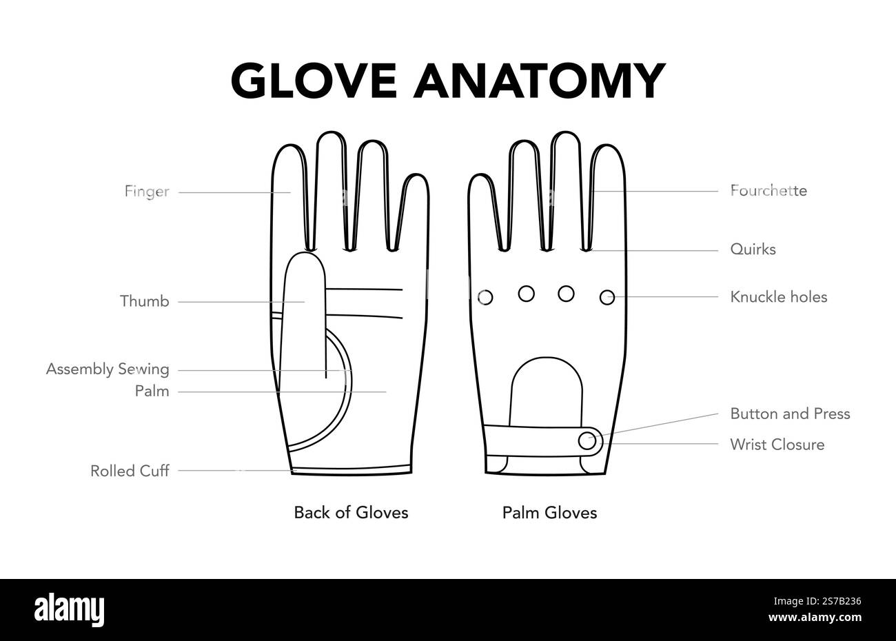 Gloves Anatomy diagram with name parts text Fashion hand accessory ...