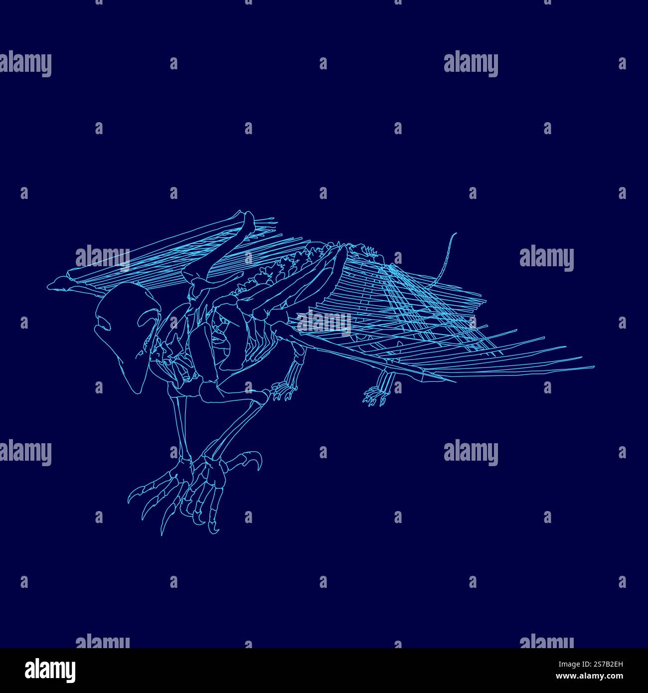 With lizard in beak Stock Vector Images - Alamy