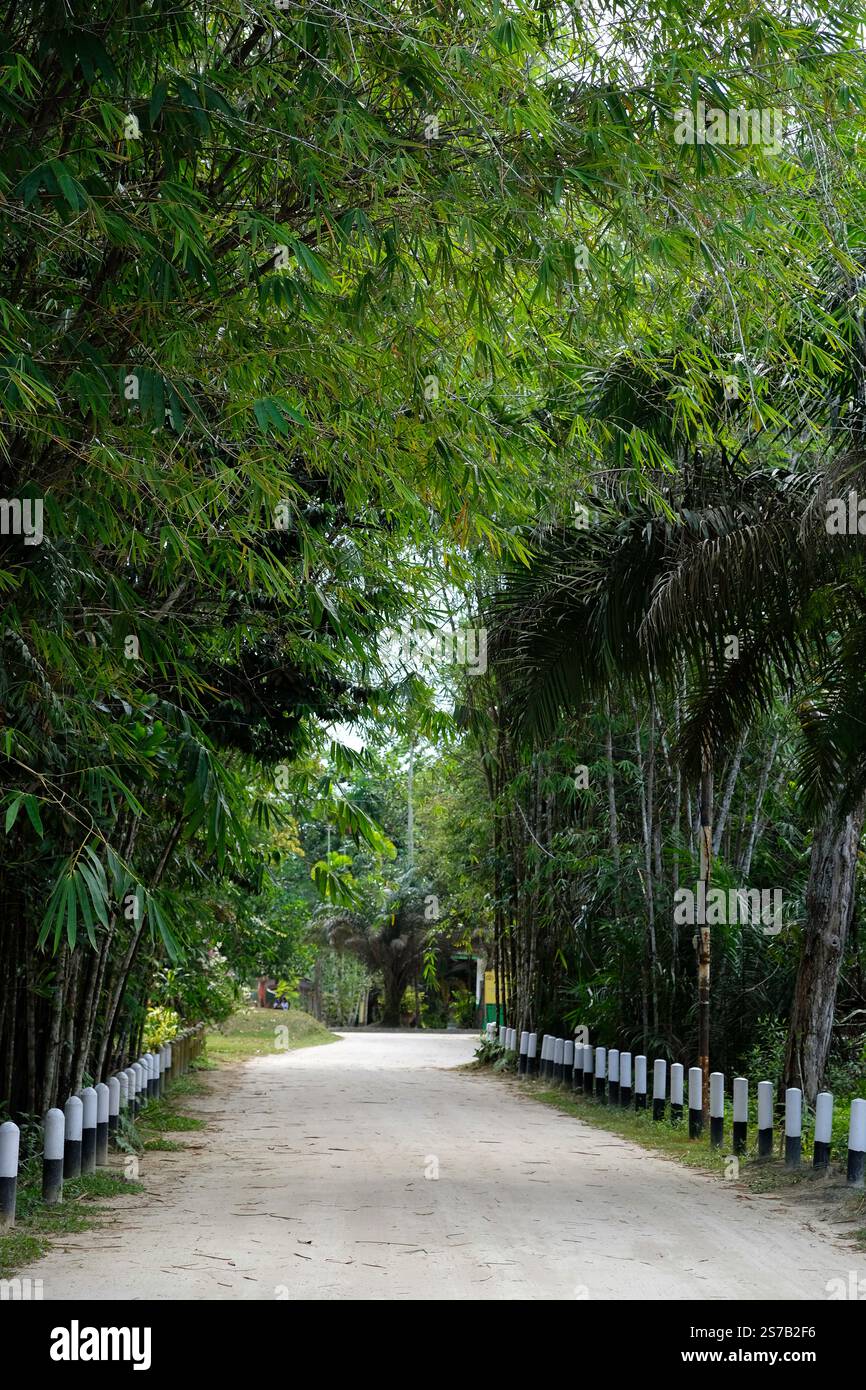 Path to the greenery at Alam Mayang Park, Pekanbaru, Indonesia Stock ...
