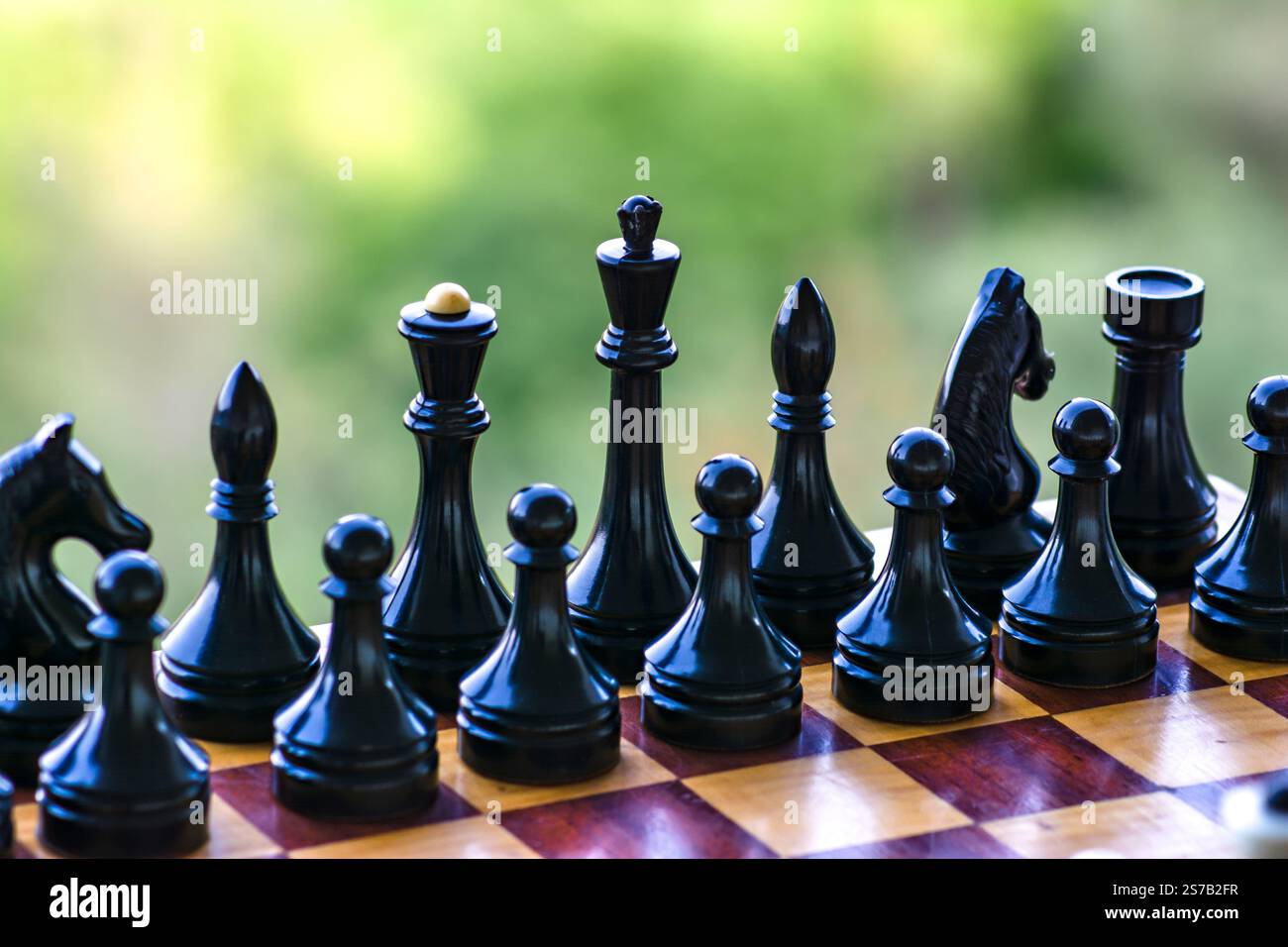 Chessboard. Chess game. Chess pieces - King, Queen, Queen, Rook, Bishop ...