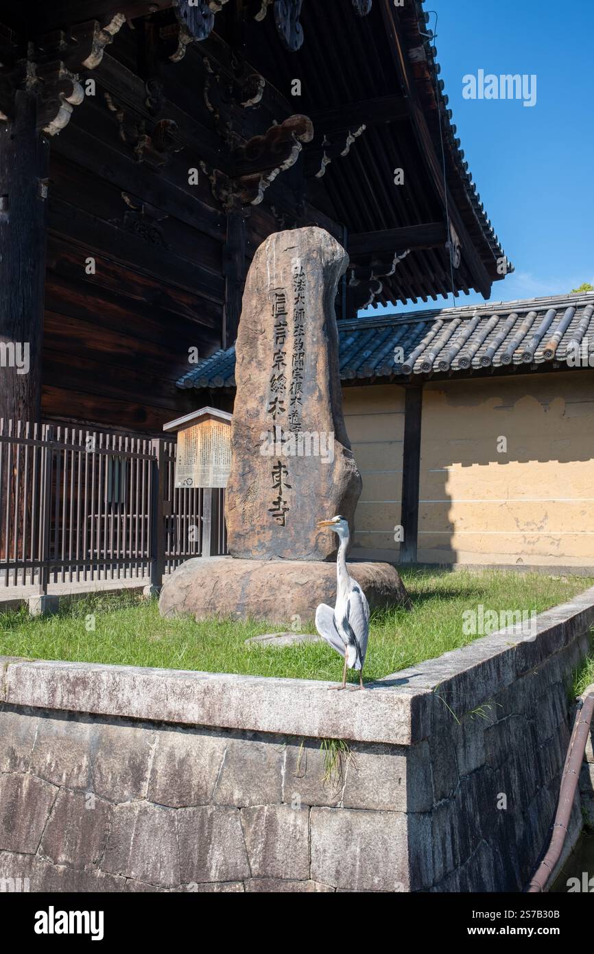 Outer Walls and Crane Bird at Toji Temple in Kyoto Japan Stock Photo ...