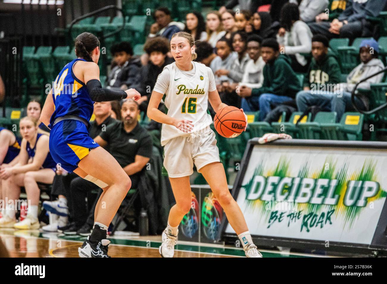 Edmonton, Canada. 17th Jan, 2025. The University of Alberta Pandas (16 ...