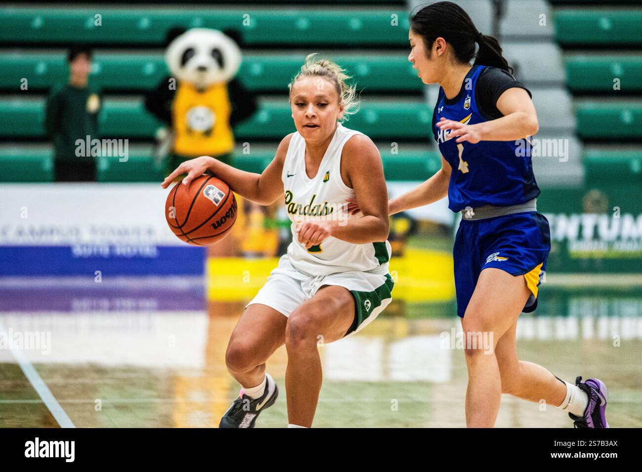 Edmonton, Canada. 17th Jan, 2025. The University of Alberta Pandas (9) Morgan Harris breaks ...
