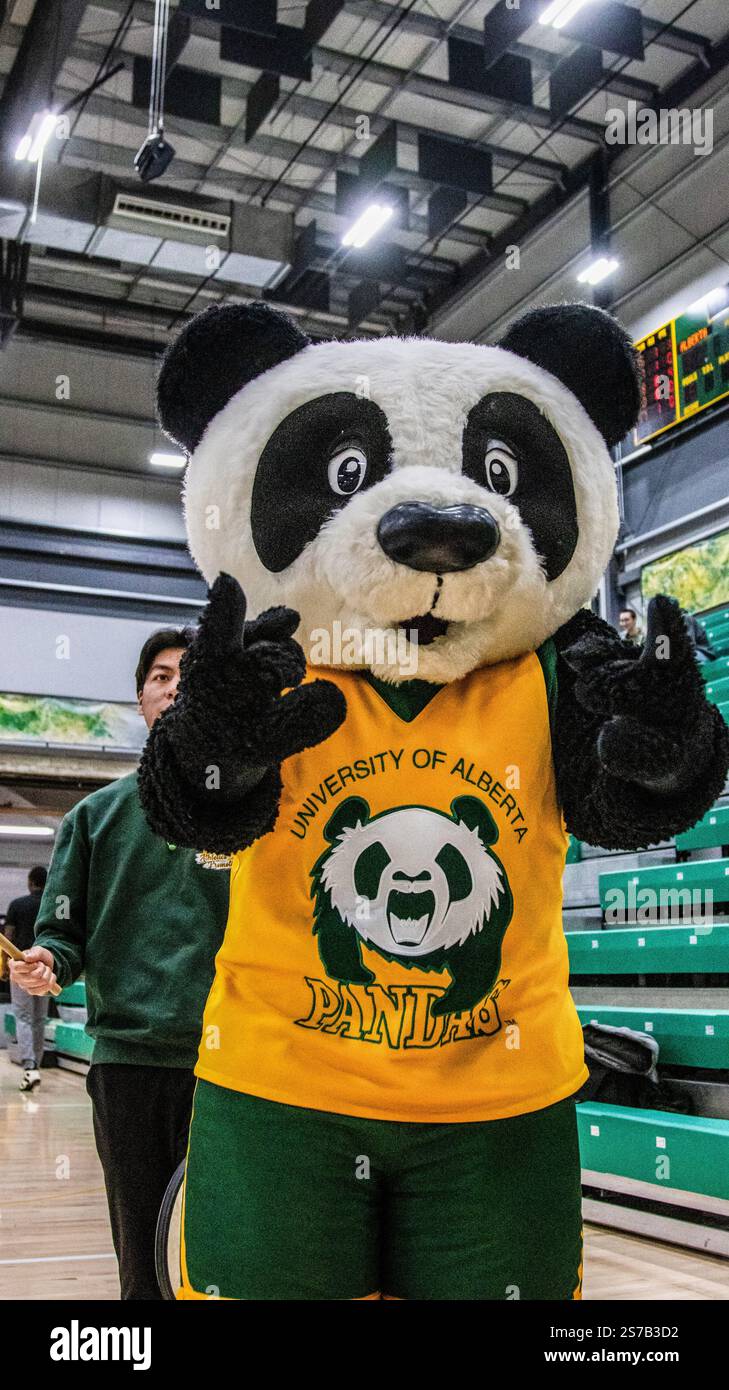 Edmonton, Canada. 17th Jan, 2025. The University of Alberta Pandas ...