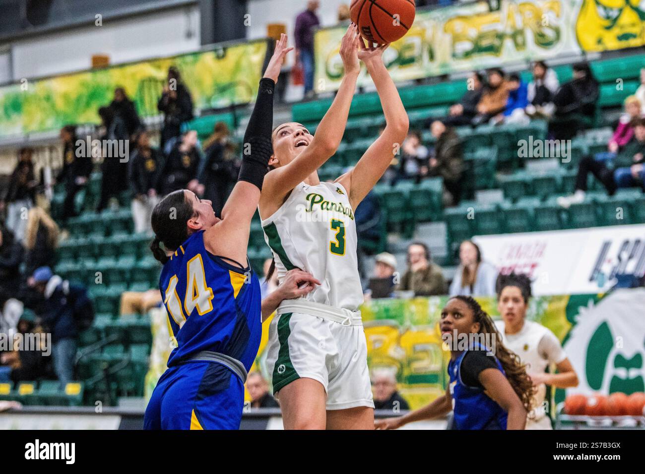 Edmonton, Canada. 17th Jan, 2025. The University of Alberta Pandas (3 ...