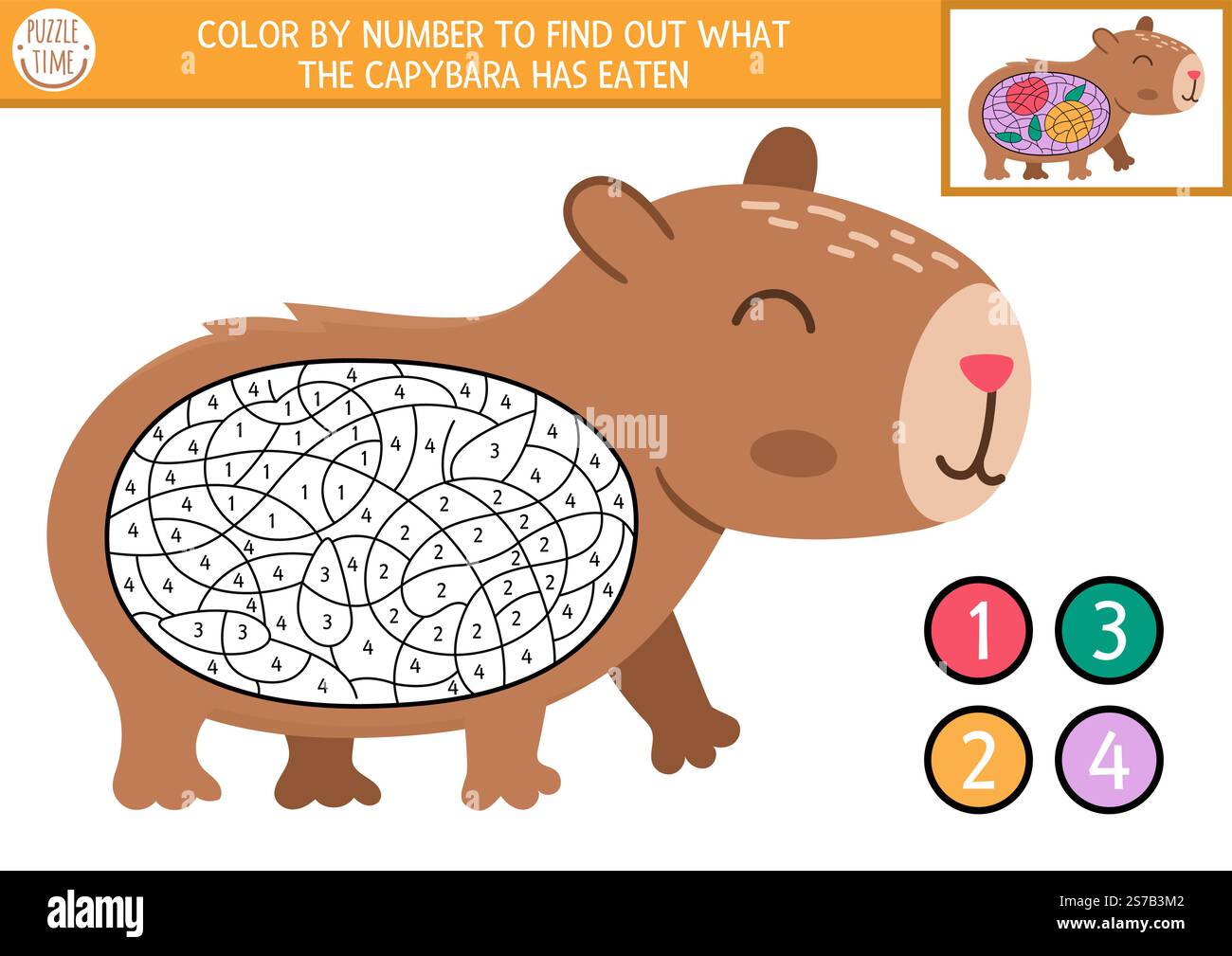 Vector color by number activity with capybara and food in his stomach ...