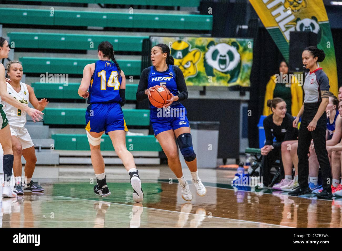 Aiko williams hi-res stock photography and images - Alamy