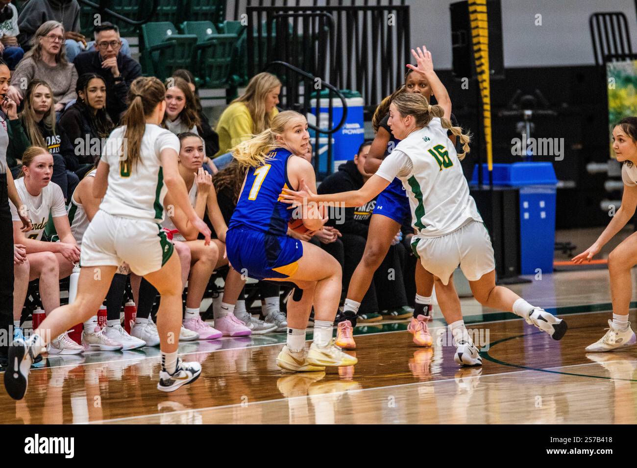 Jayden tanner hi-res stock photography and images - Alamy